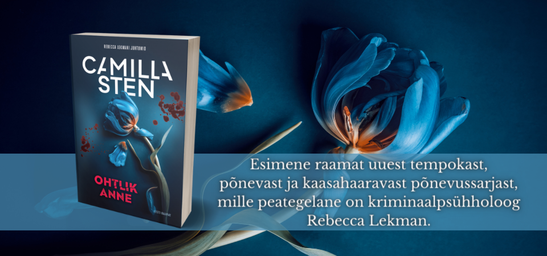 Kirjastus Eesti Raamat