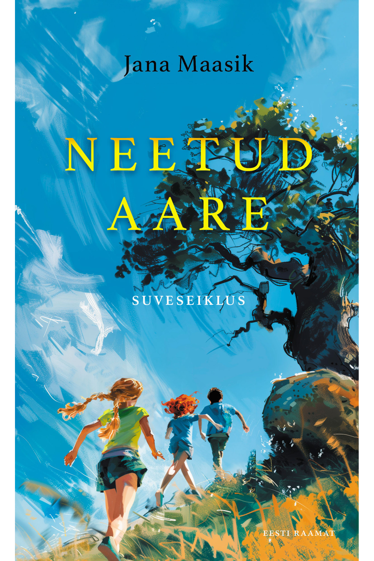 Neetud aare_e-raamat